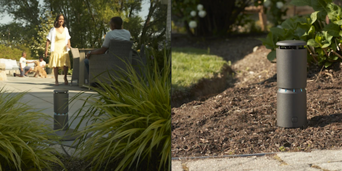 The best smart garden devices for green-fingered tech lovers - Gearbrain