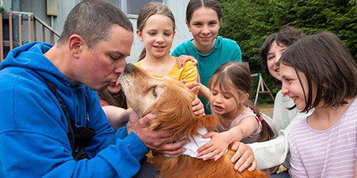 Elderly blind dog reunited with family after 3 weeks - Upworthy