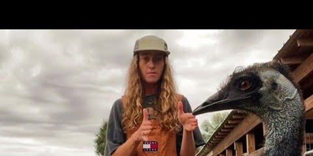 This Florida emu is internet famous for hilariously interrupting his ...