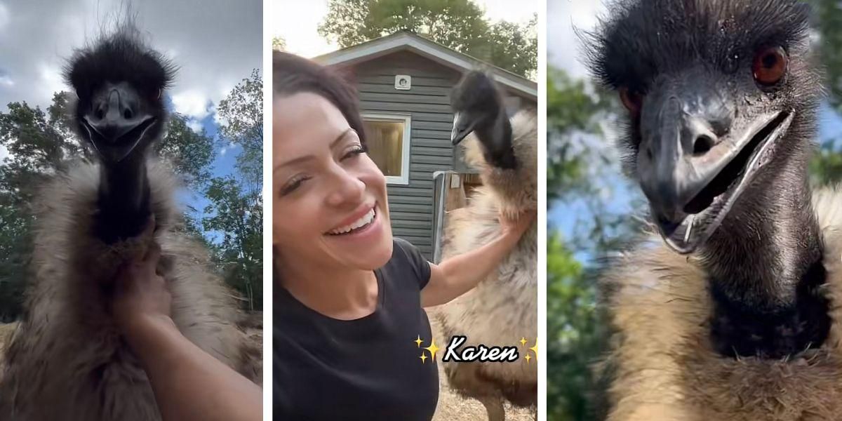 Internets biggest Karen is an emu who's out to get her owner - Upworthy