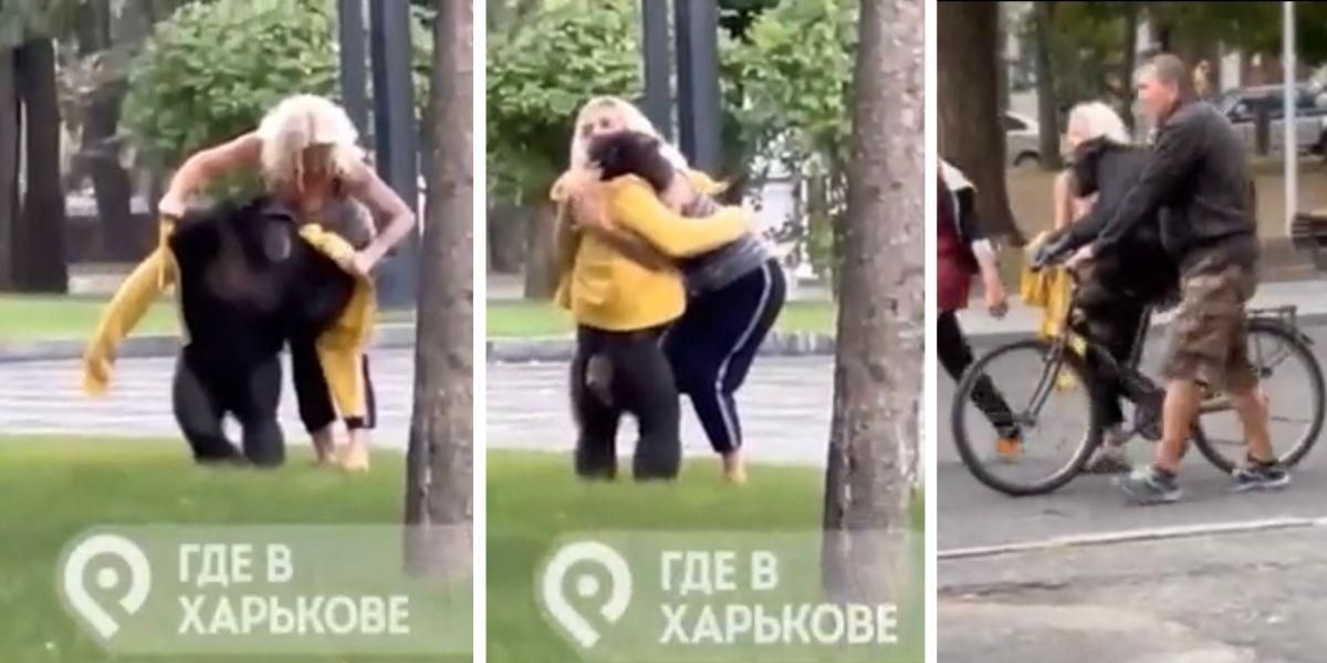Escaped Ukrainian chimp comes home with raincoat and bicycle - Upworthy