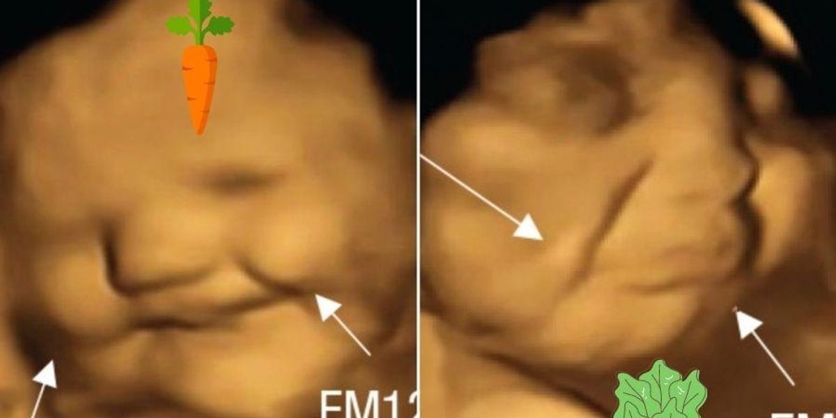 Fetuses smiled at carrots and scowled at kale in new study - Upworthy