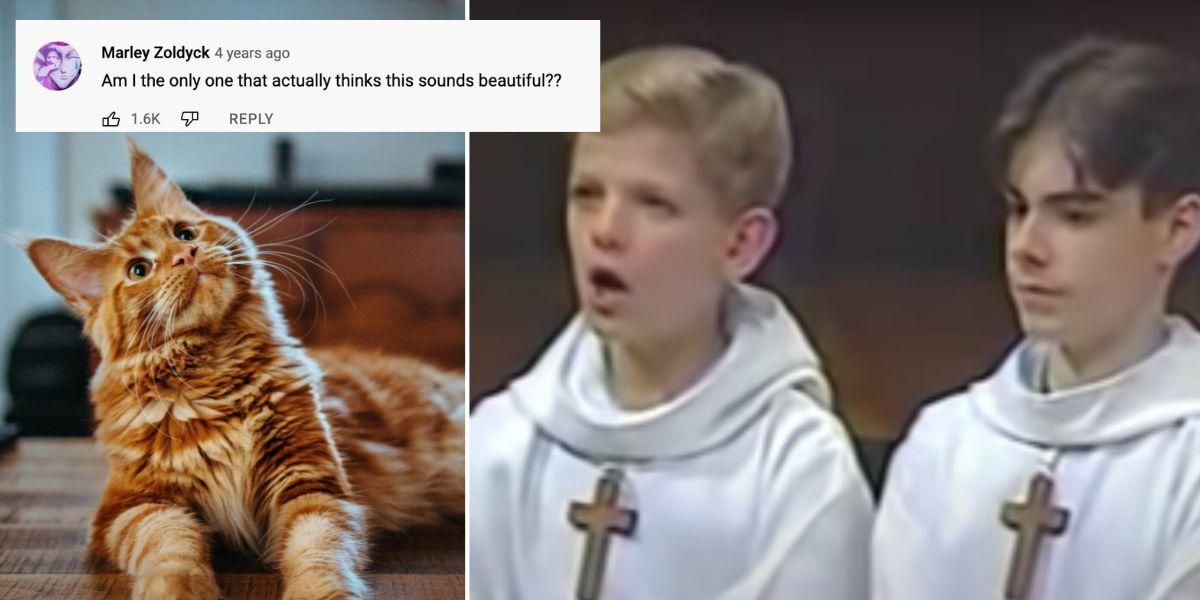 Choir boys sing a cat duet opera using only 'meow' - Upworthy