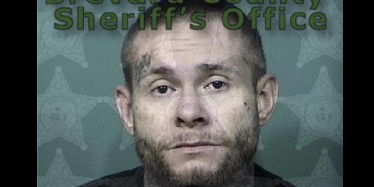 Alleged kidnapper caught hiding in laundry room under pile of clothes ...