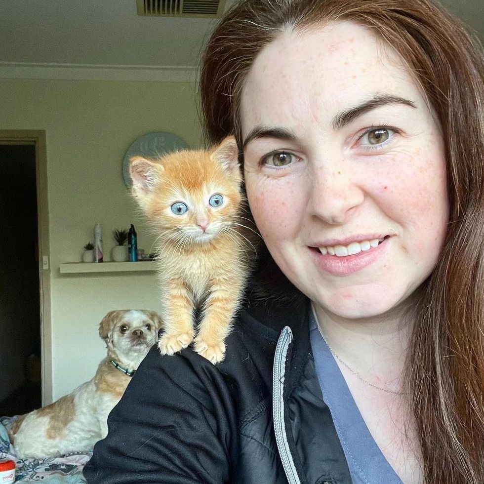 Kitten Gets a Whole Team to Help Him Breathe Better, He Turns into the ...