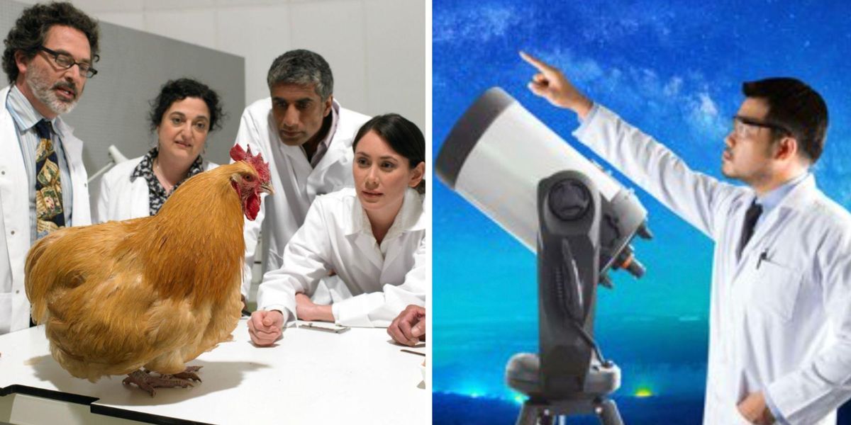 People vote for the worst stock photo of a scientist - Upworthy