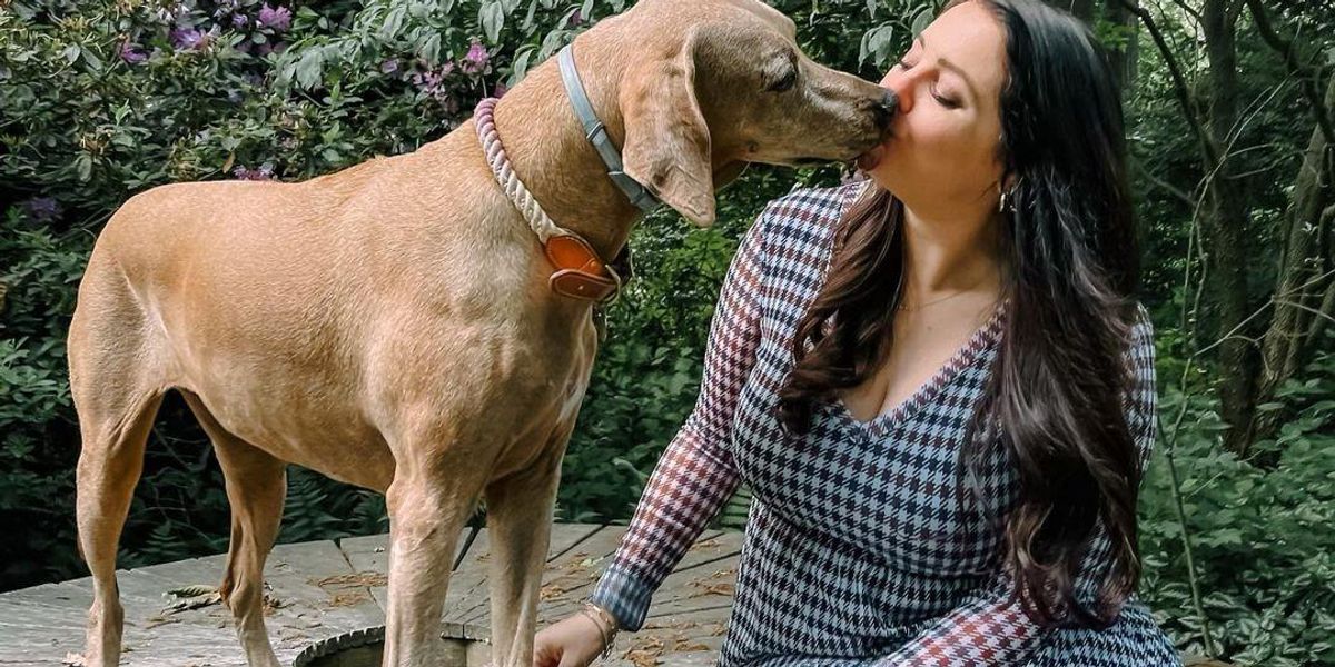 Popular veterinarian Dr. Lisa Lippman shares 5 tips to help you and ...