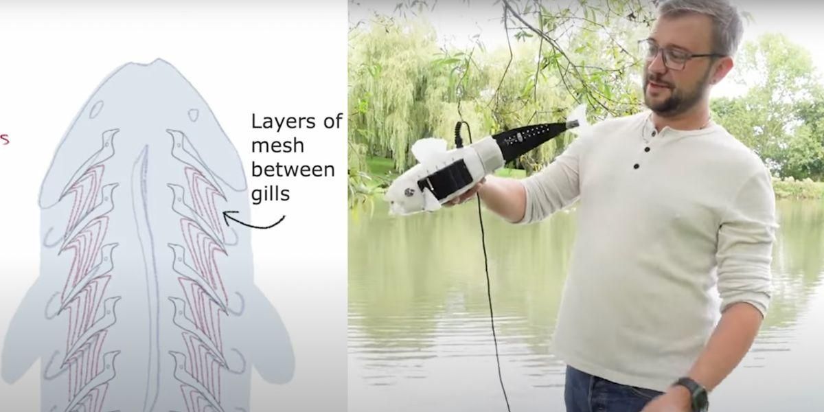 3D printed fish filters microplastics from lakes - Upworthy