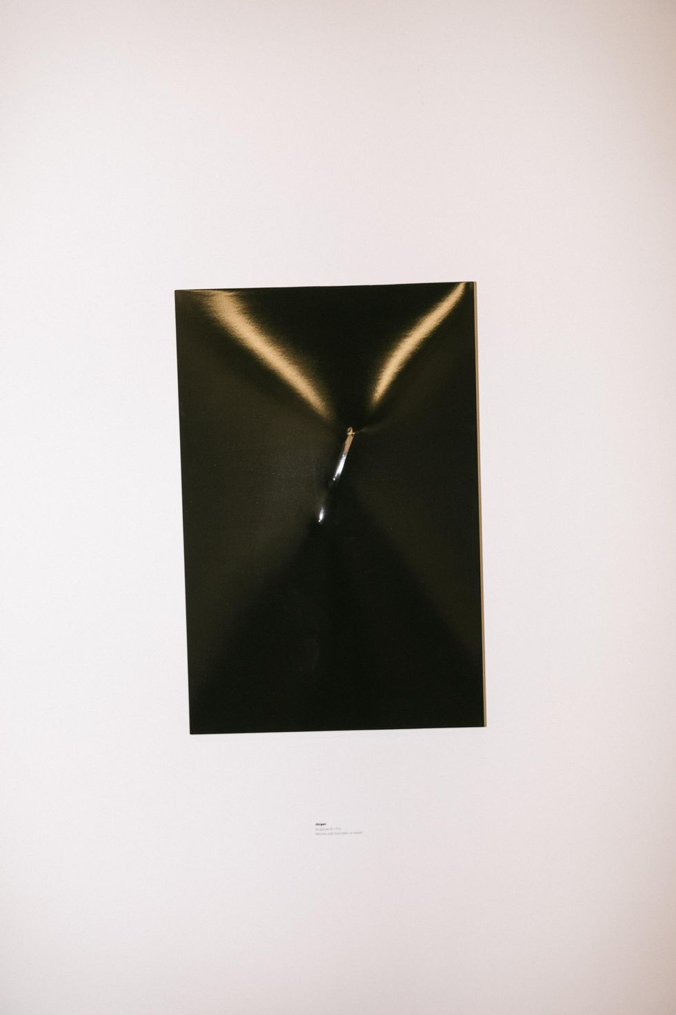 Auguste Wibo's "RUB IT" Puts the Dickprint on Display - PAPER Magazine