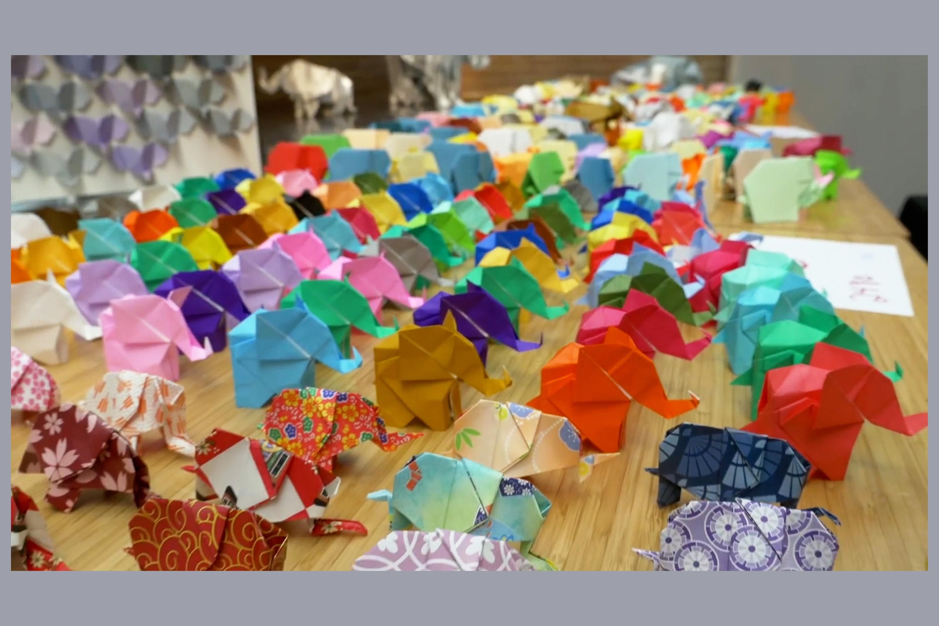There's a Guinness World Record for origami elephants. The story behind ...