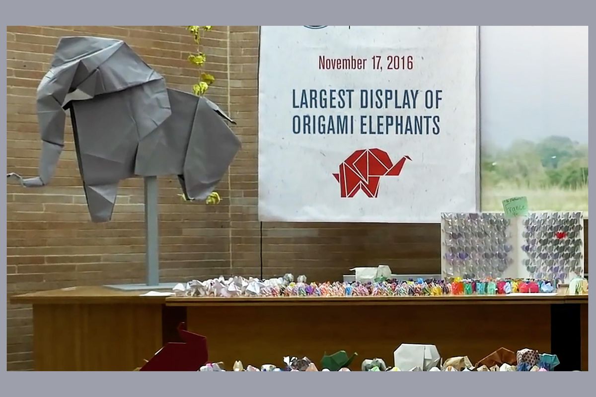 There's a Guinness World Record for origami elephants. The story behind ...