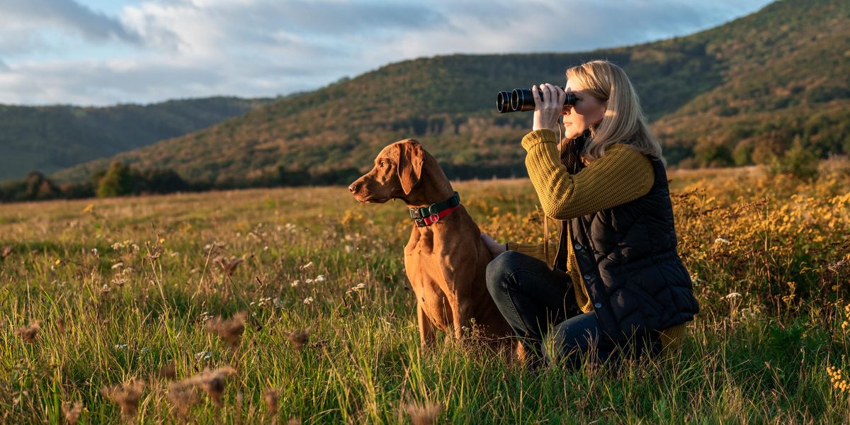 L'importanza del cane nell'arte venatoria - La Verità