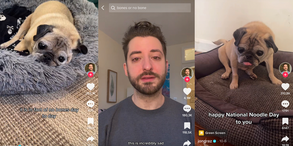 Noodle, the TikTok Famous 'Bones Day' Pug, Dies - PAPER Magazine