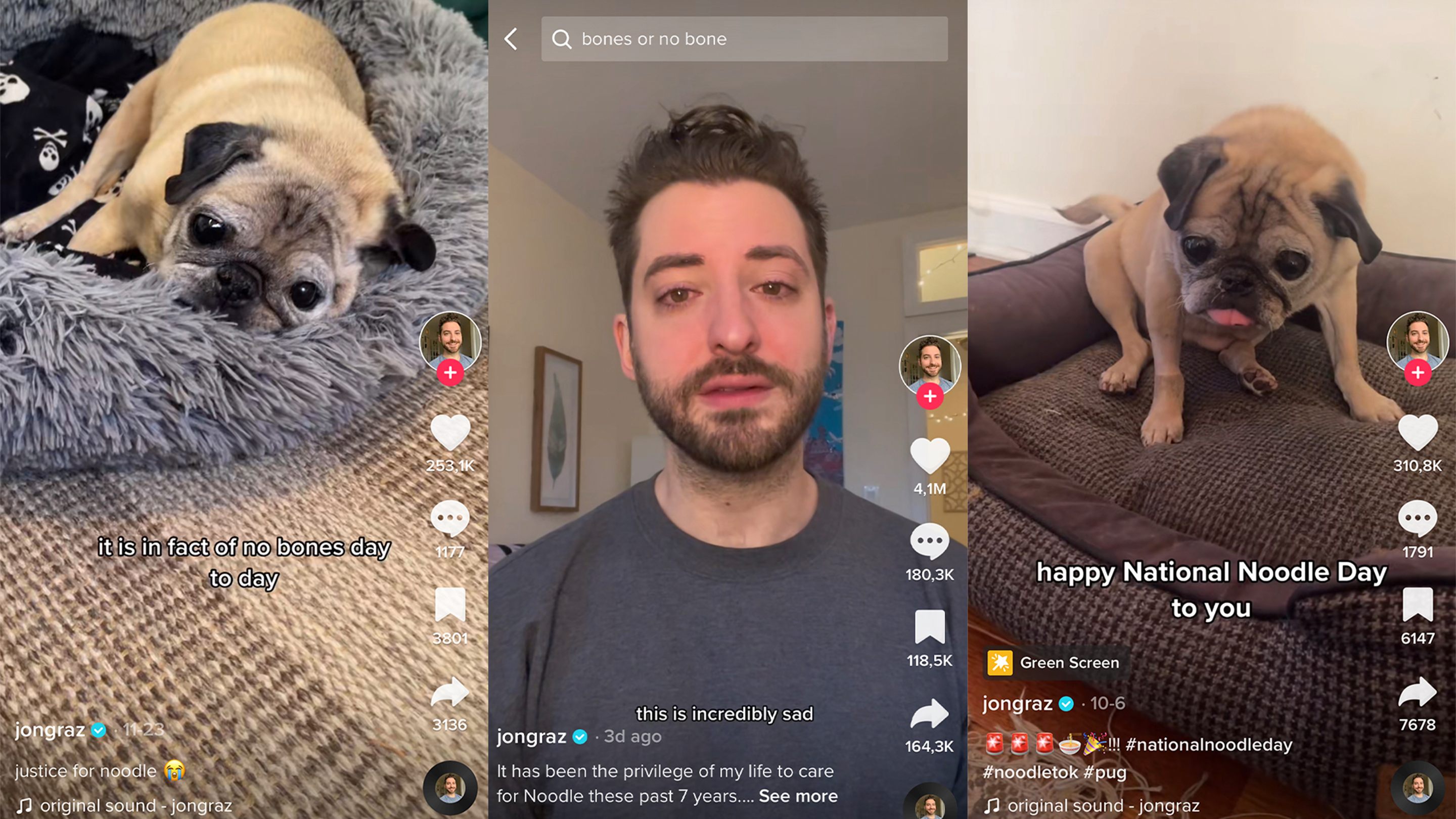 Noodle, the TikTok Famous 'Bones Day' Pug, Dies - PAPER Magazine