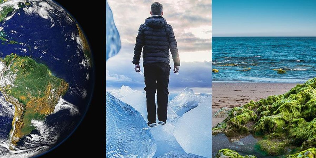 What happens when you freeze the Earth?You get the first animals ...