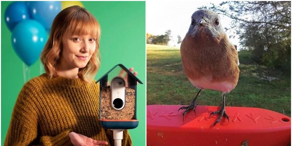Man invents the 'Pokemon Go' of bird feeders - Upworthy