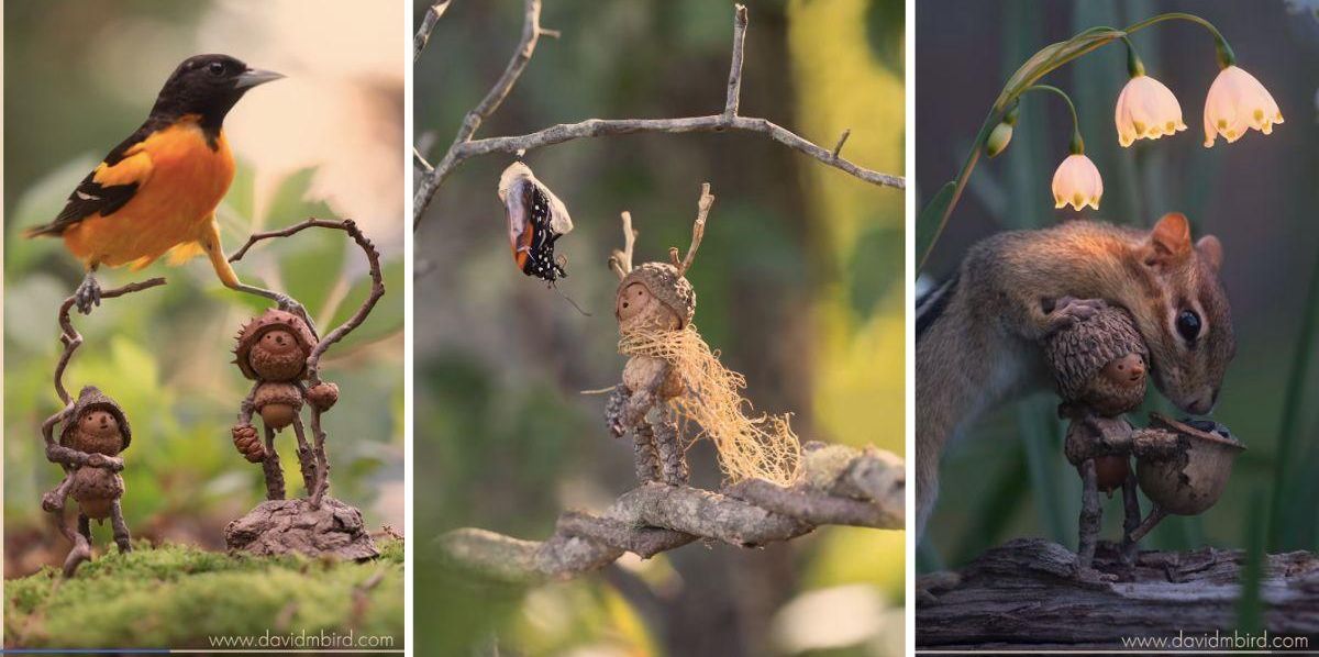 Artist's scenes with acorn people and wildlife win hearts - Upworthy