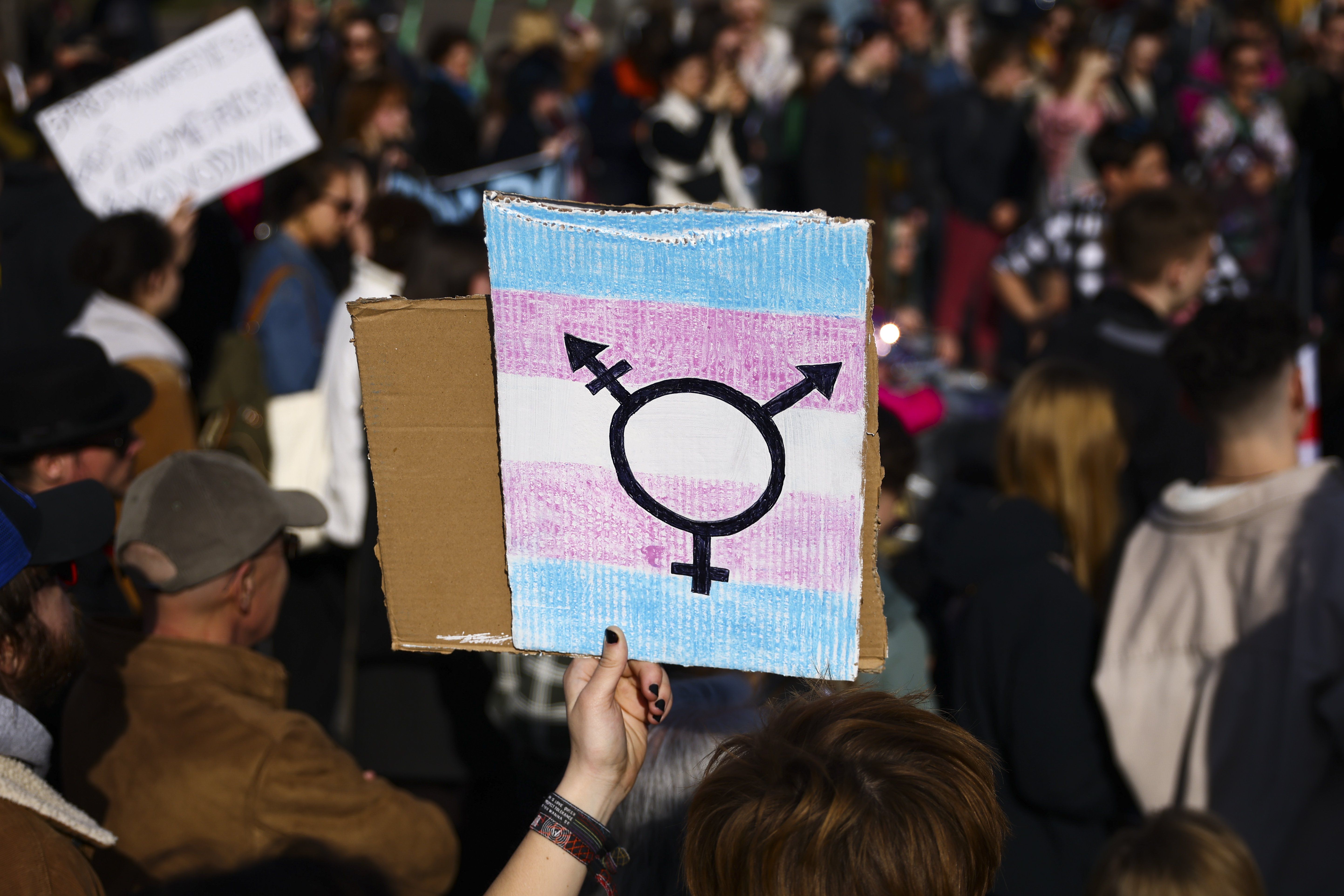 Trans Youth Across America Will March For Autonomy on Friday - PAPER ...