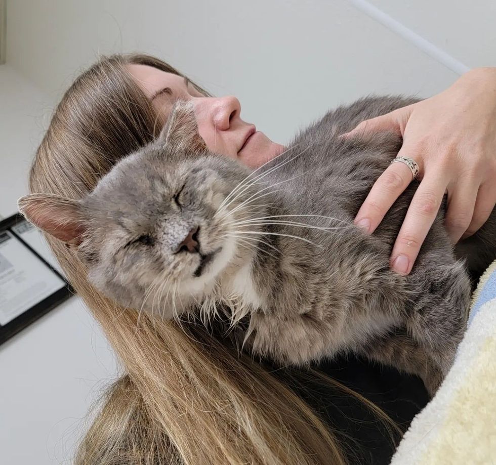 Cat Accepts Help and Decides to Trust One Day After a Lifetime on the ...