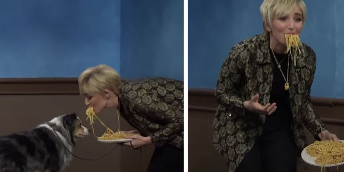 Ana de Armas stars in "SNL" dog school commercial - Upworthy