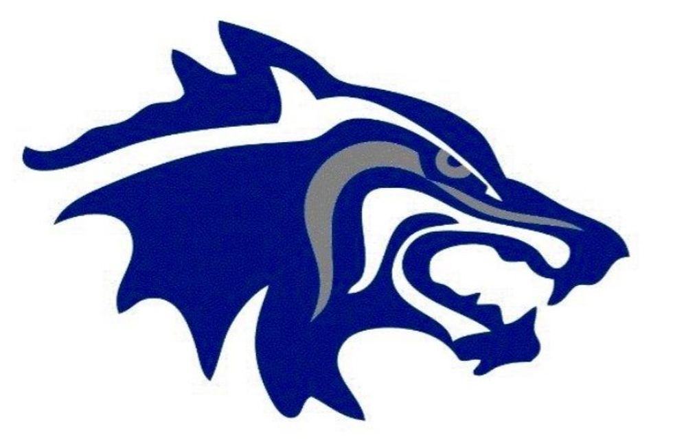 WIN OR GO HOME: VYPE's Class 6A Softball bi-district prospectus - VYPE