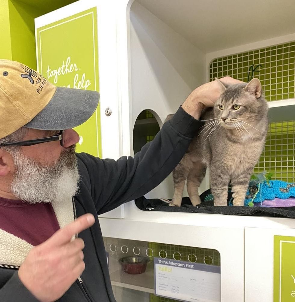 Cat Makes Guy His Forever Human by Standing on Him After Waiting Nearly ...