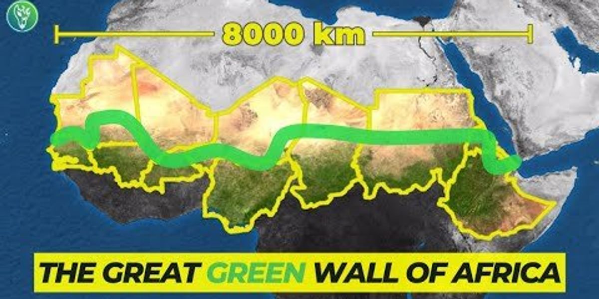 The Great Green Wall of Africa project - Upworthy