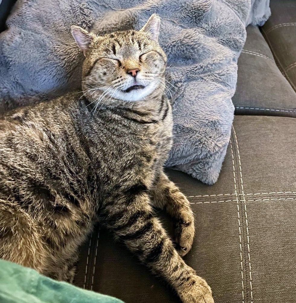 Cat Beams with Joy When He's off the Streets for Good after Years of ...