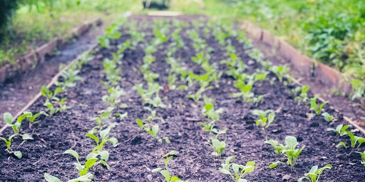 Moonshot Compost diverting millions of pounds of food waste and methane ...