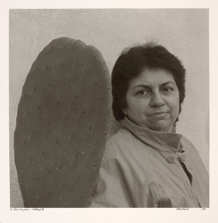 Latina Activists in the Chicano Movement - Luz Media
