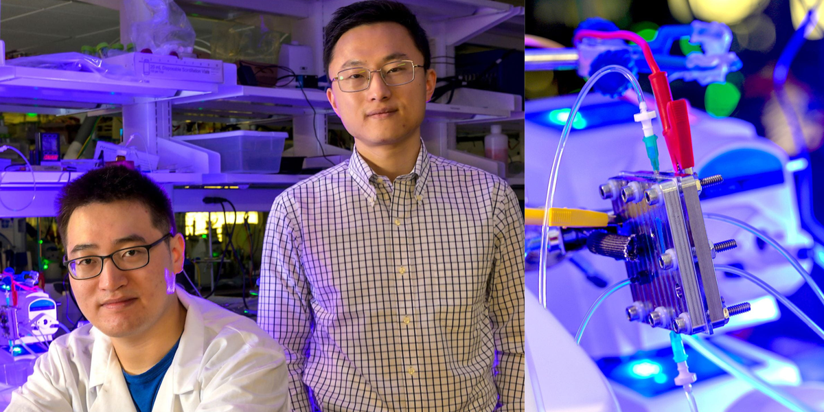 Peng Zhu, Haotian Wang of Rice University develop carbon capture tool ...