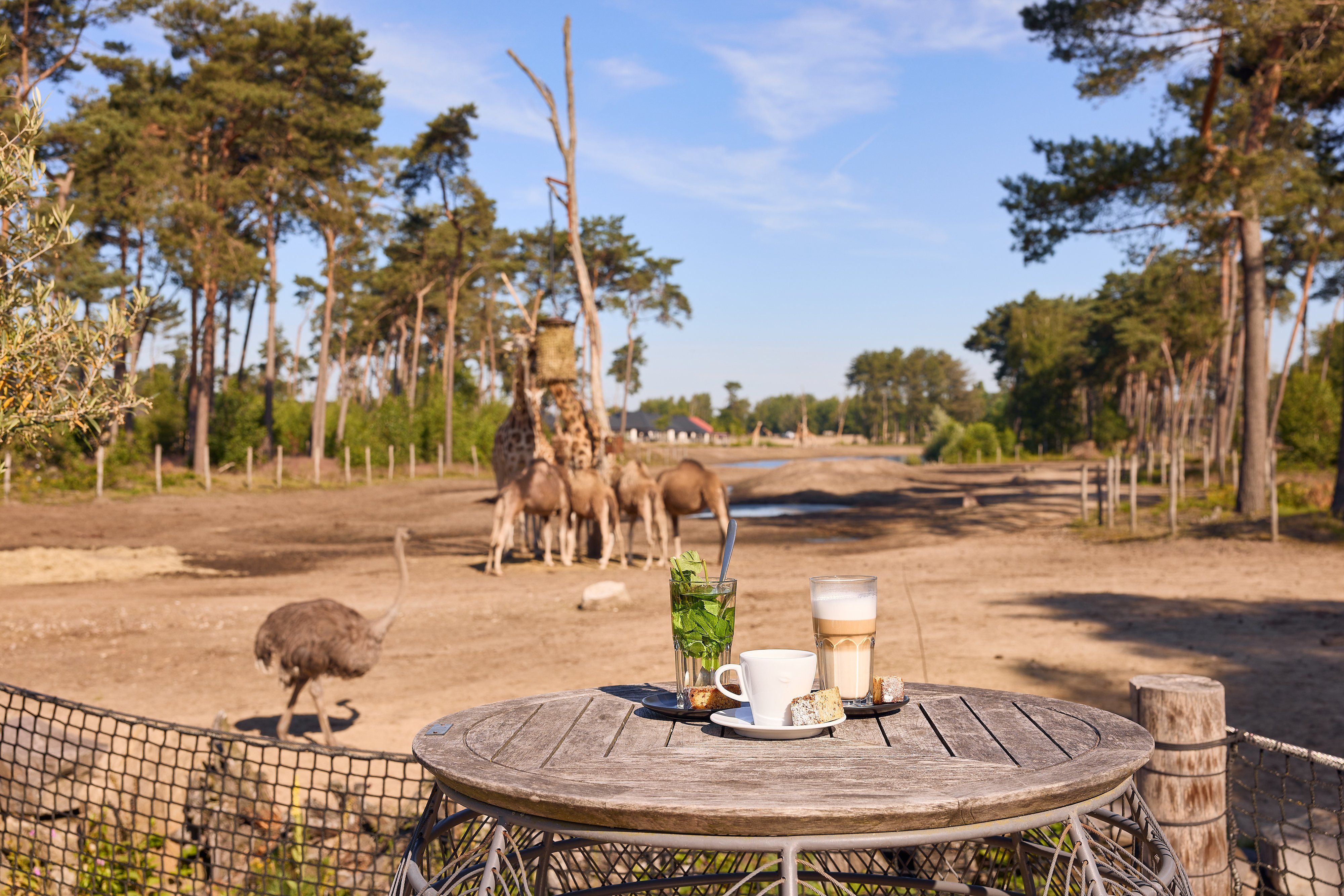 I glamping più insoliti dove passare le vacanze - La Verità