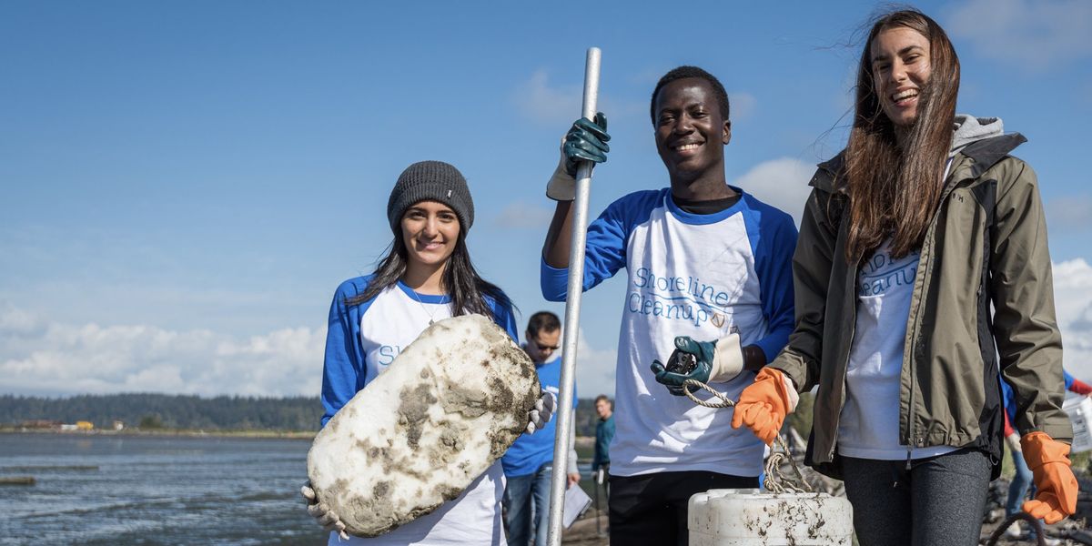 Easy (and free!) ways to save the ocean - Upworthy