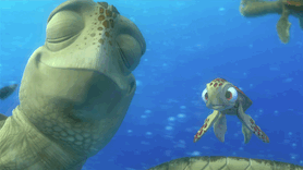 8 Times That "Finding Nemo" Showed How Beautiful Oceans Are
