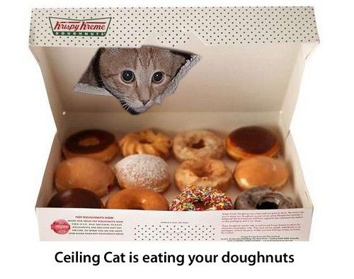 9 Donut Facts For National Donut Day