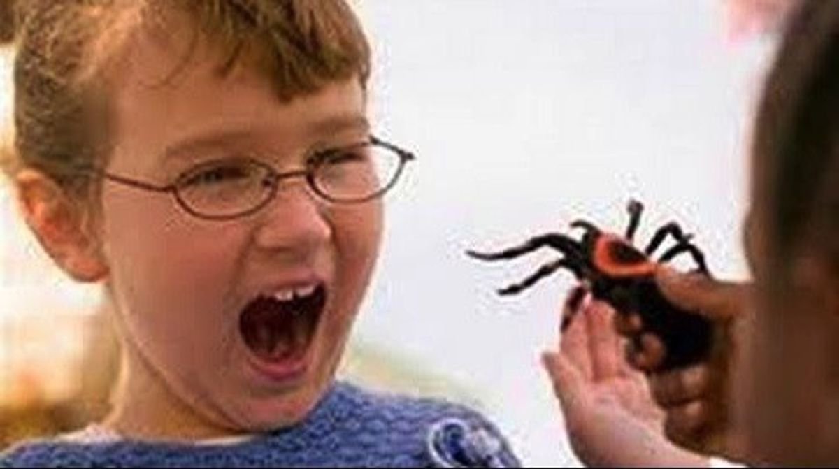 15 Signs You Have A Huge Fear Of Bugs