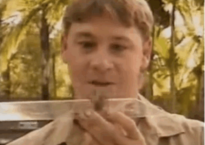 10 Things Steve Irwin Taught Us