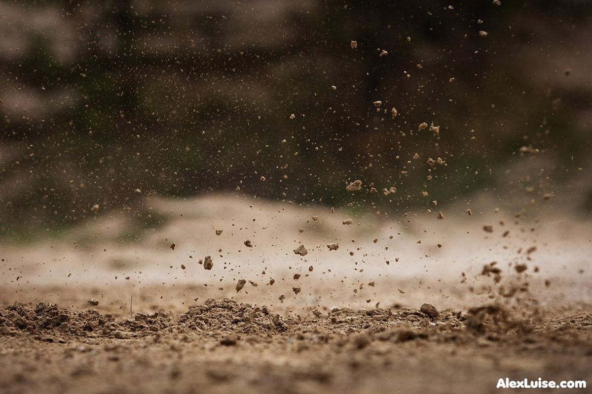 Why Spring Is Actually The Worst Season