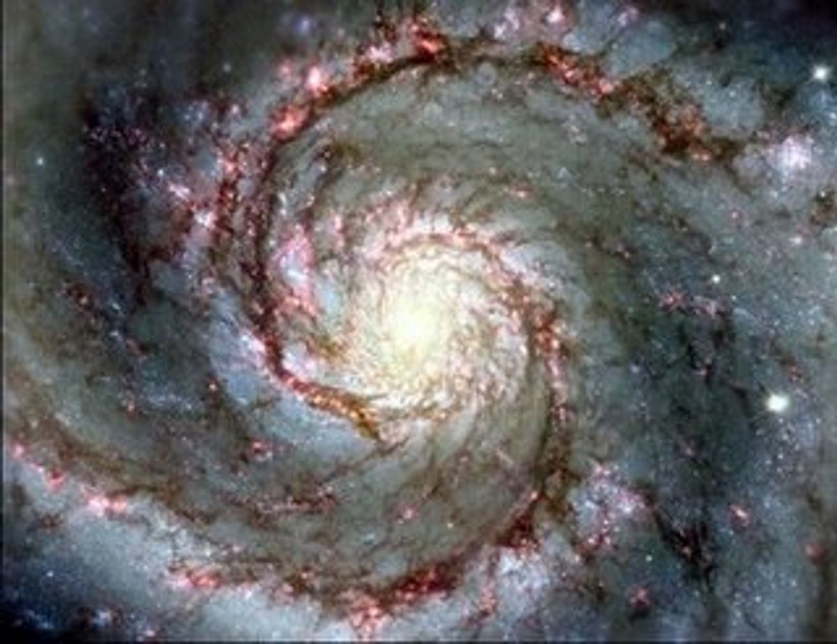 7 Beautiful Examples Of The Fibonacci Sequence In Nature 7 Beautiful Examples Of The Fibonacci Sequence In Nature