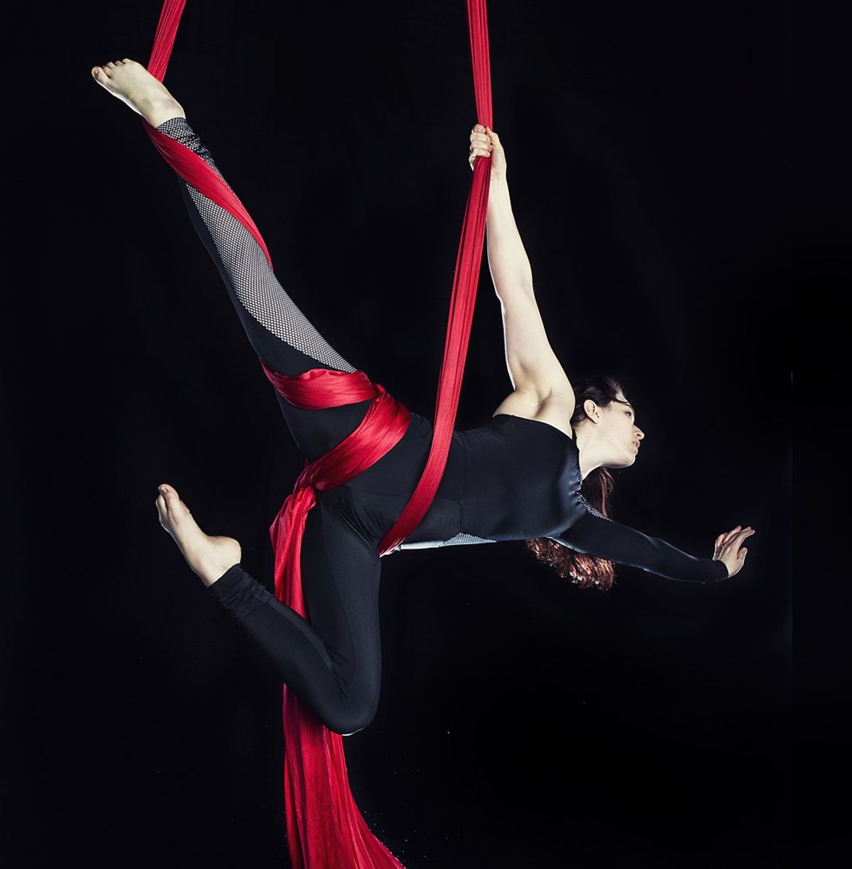 What Everyone Should Know About Aerial Silks