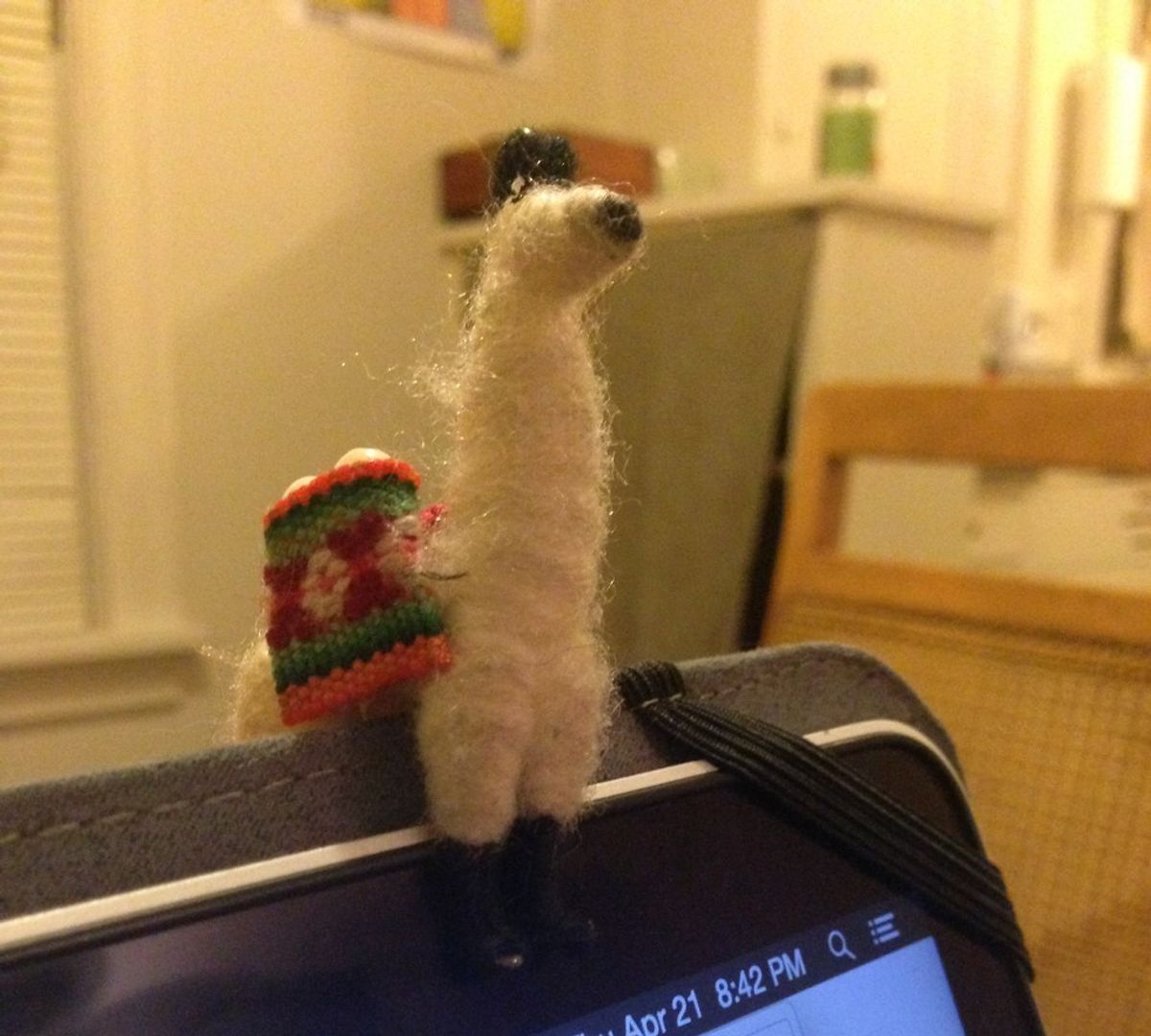 All Hail The Llama God