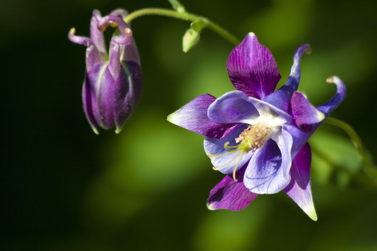 The Importance Of Remembering Tragic Events the-importance-of-remembering-tragic-events