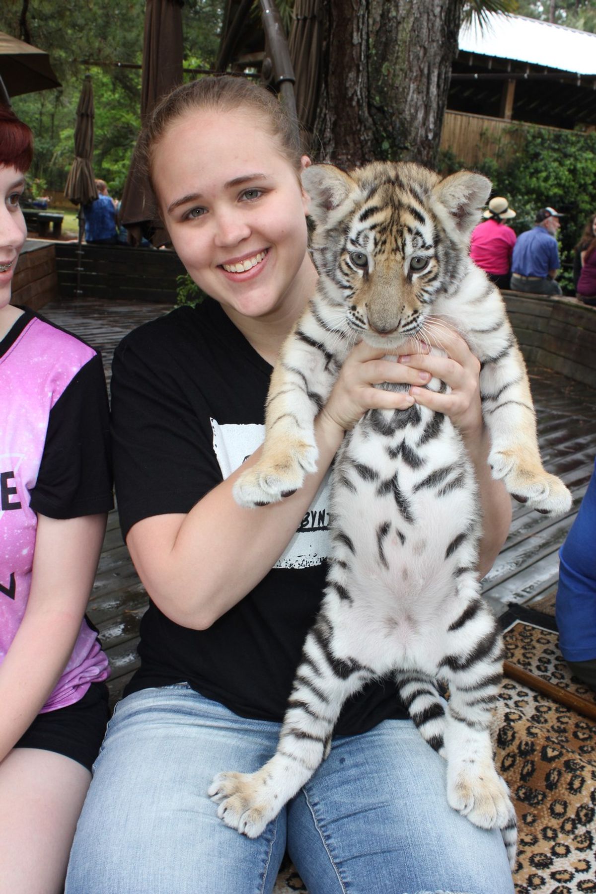 My Trip To The Myrtle Beach Safari Tours