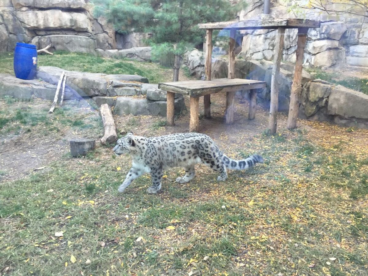 What I Learned Working In A Zoo