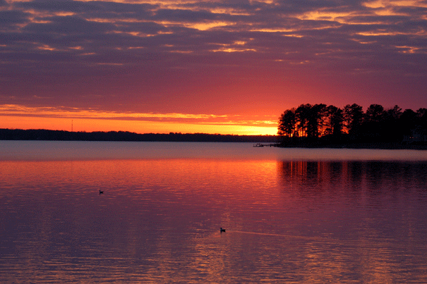14 Reasons Why Summer Is The Best Season