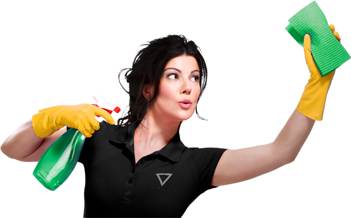 Basic Cleaning Tips For Dummies Basic Cleaning Tips For Dummies