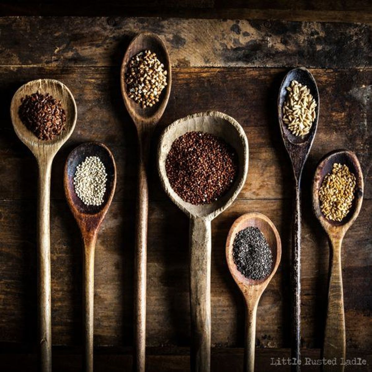 4 Steps to Becoming A Novice Forager