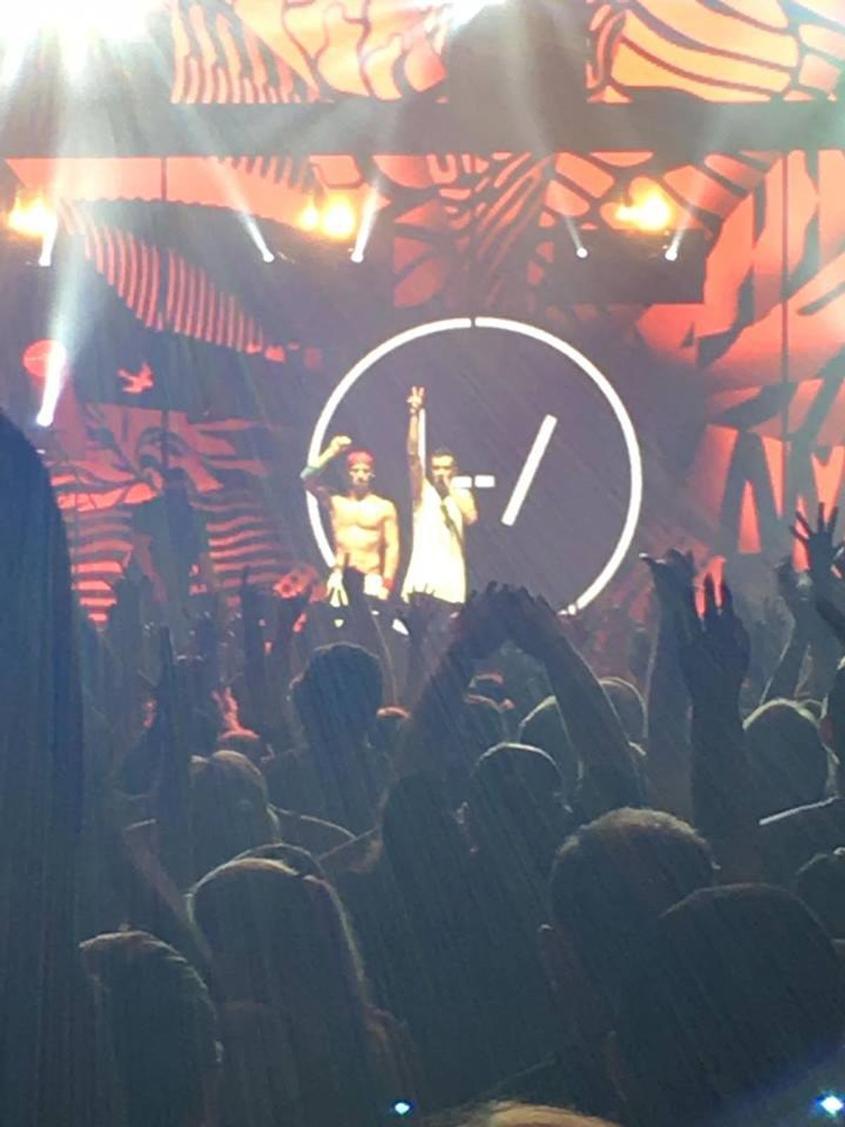 What Happens At A Twenty One Pilots Concert?