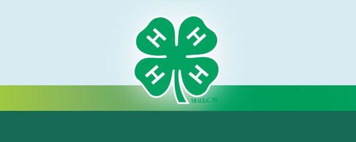 An Open Letter To The 4-H Clover