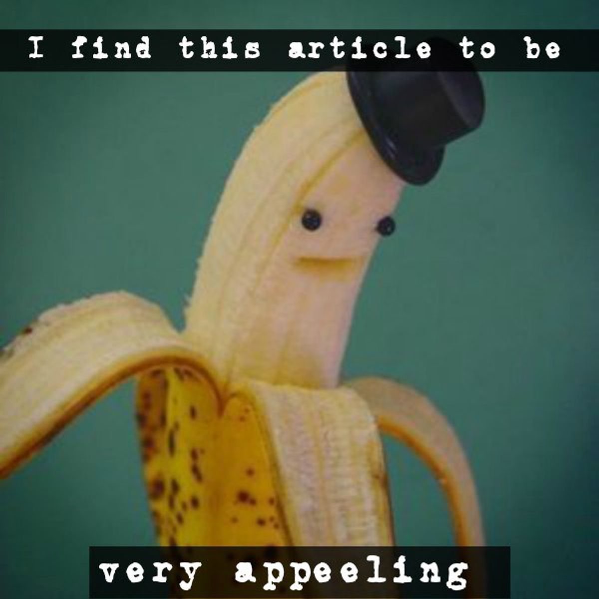 35 Terrible Puns To Brighten Your Day